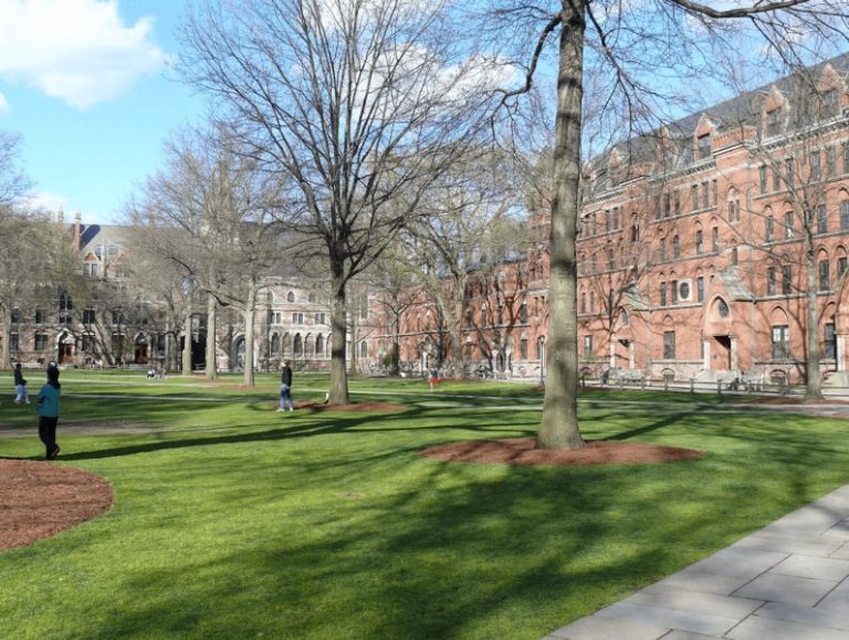 Yale Students Launch Hunger Strike Over School’s Connection to Gaza ...